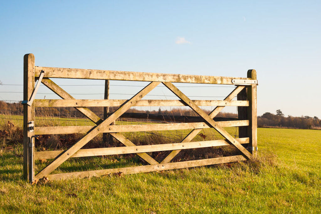 All Buying Guides – Ruby Group