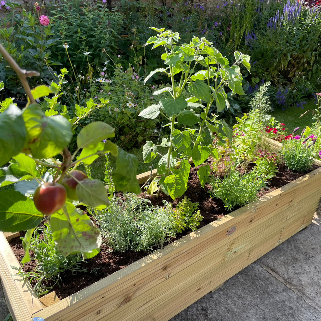 Deluxe Decking Planter | Ruby UK – Ruby Group