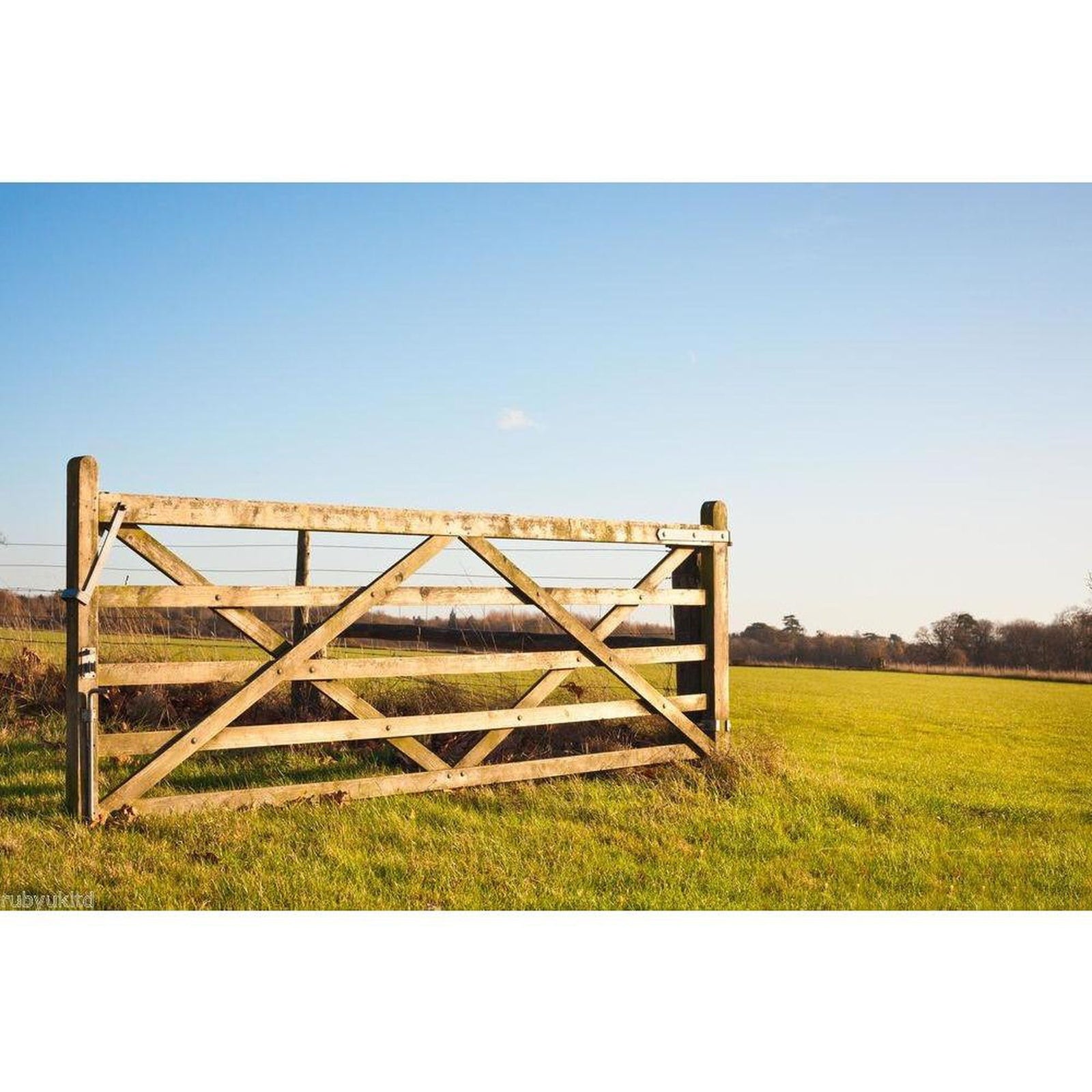 Diamond Brace Wooden Gates | Ruby UK